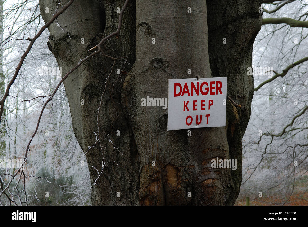 Danger Sign on Tree Stock Photo - Alamy