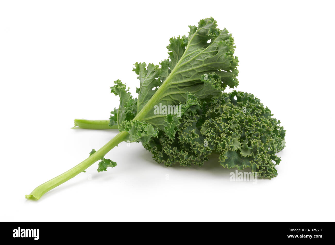 Green Curly Kale Stock Photo - Alamy