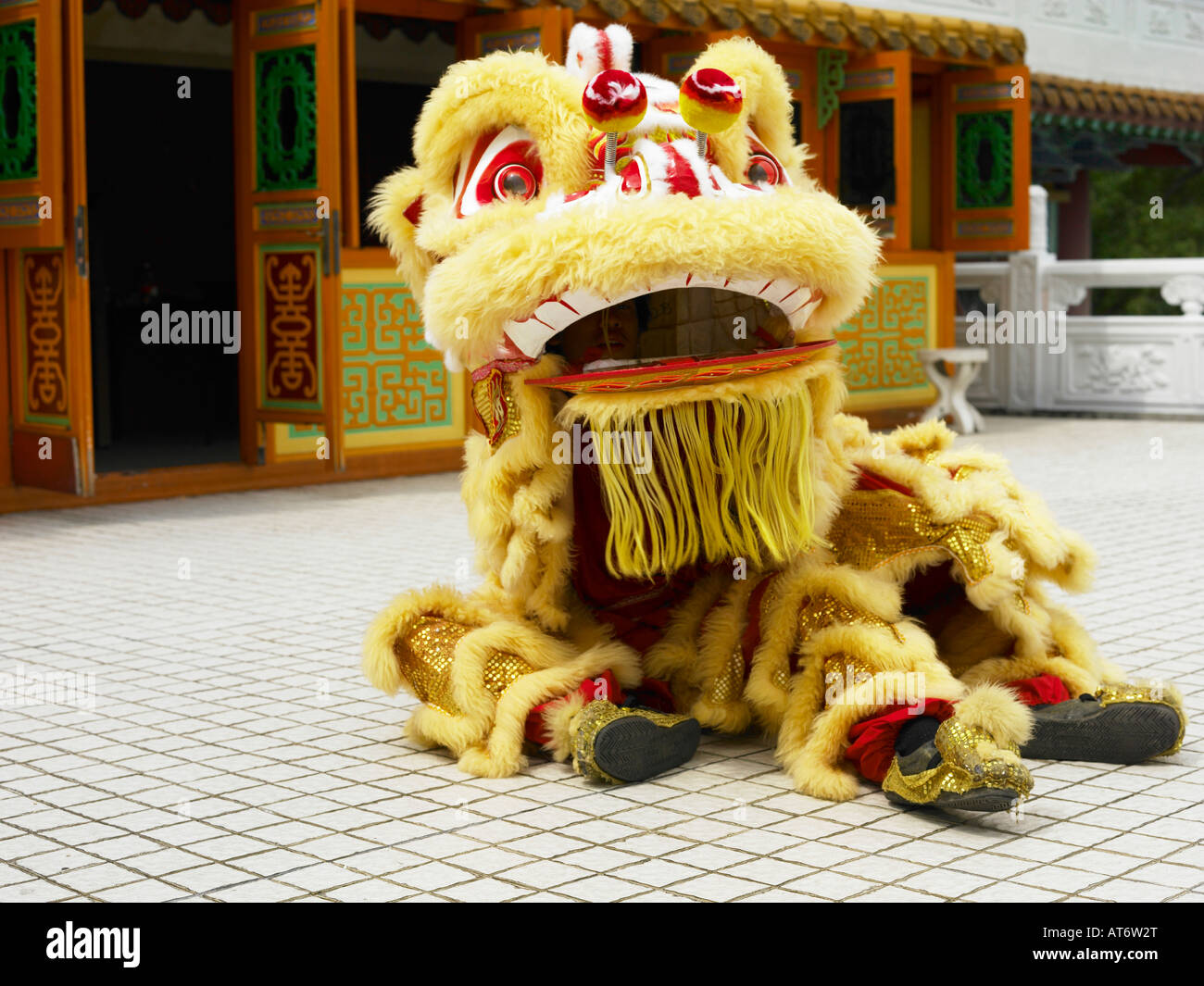 lion dance performers with the sitting position Stock Photo - Alamy