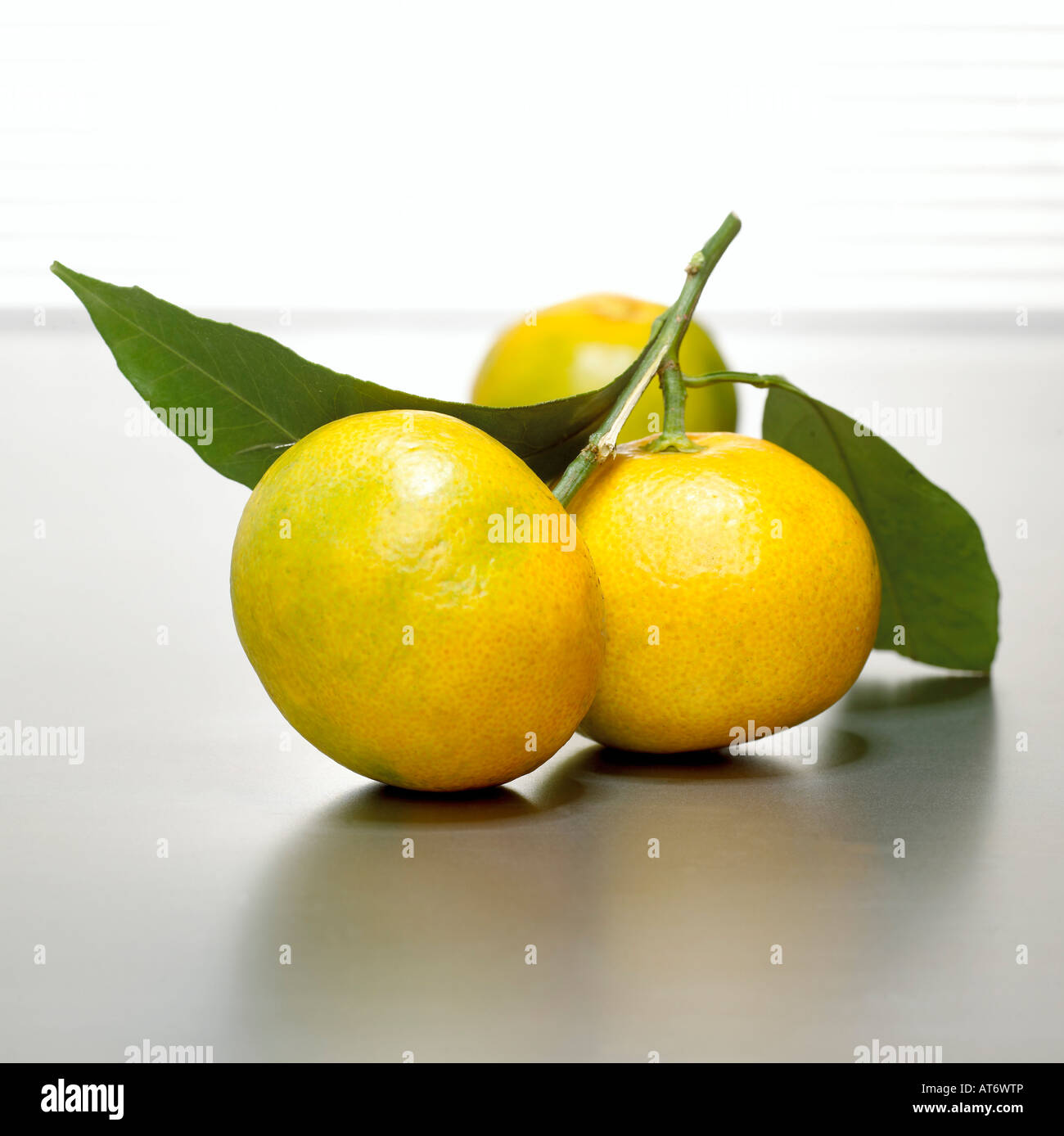 Clementines leaf hi-res stock photography and images - Alamy
