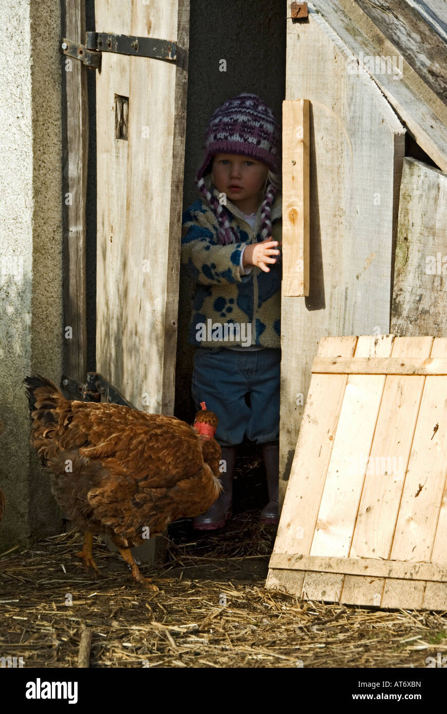 Child playing in a chicken coop Stock Photo - Alamy
