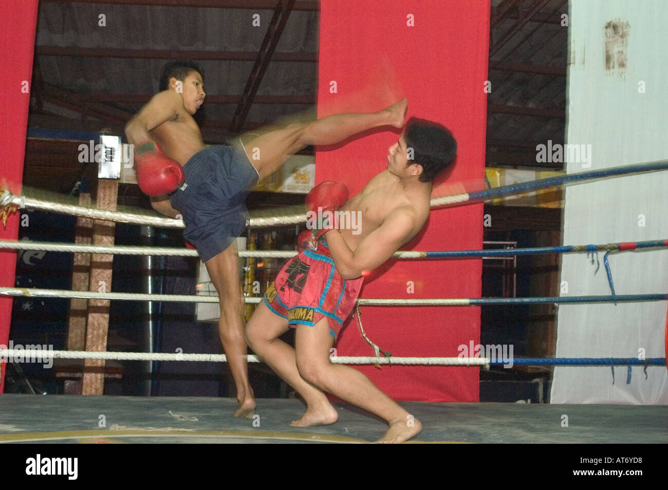Thai boxing Chiang Mai Northern Thailand South East Asia Stock Photo ...