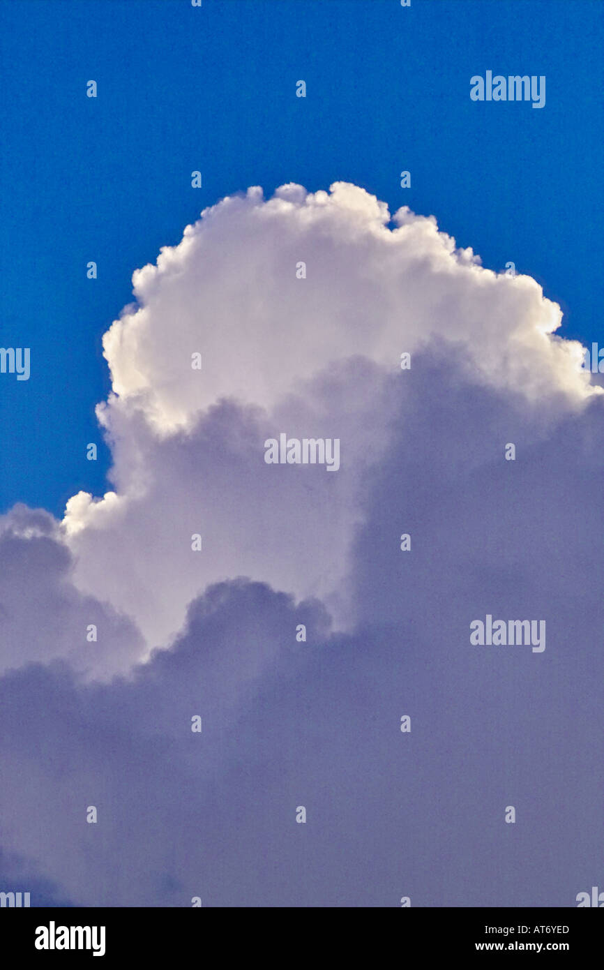 Cumulus Mediocris-Cu photographed in mid summer. Southern England Stock ...