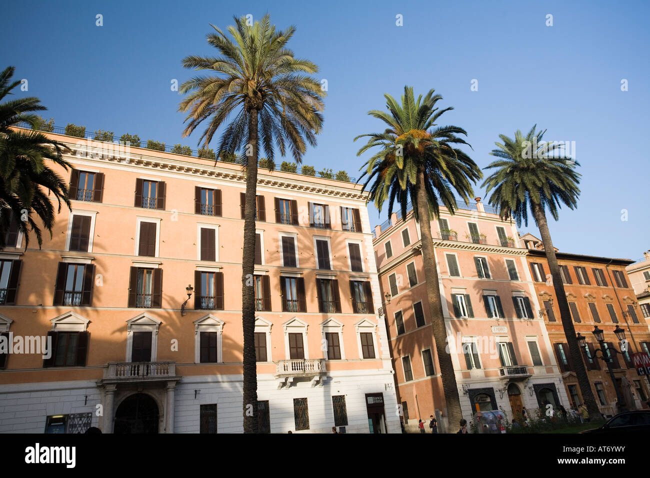 Palm trees and typical Roman houses at Piazza di Spagna Stock Photo - Alamy