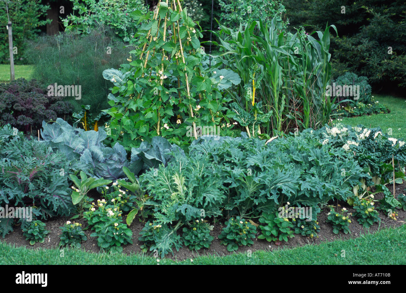 Vegetable bed Royal Victoria Park Bath Spa, Somerset, UK Stock Photo ...