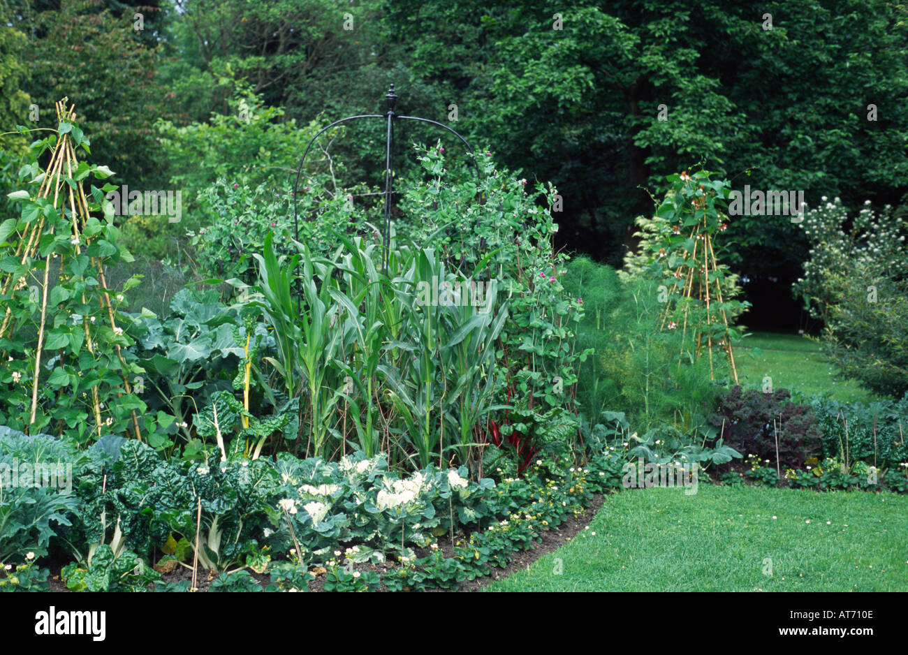 Vegetable patch Royal Victoria Park Bath Spa, Somerset, England UK ...