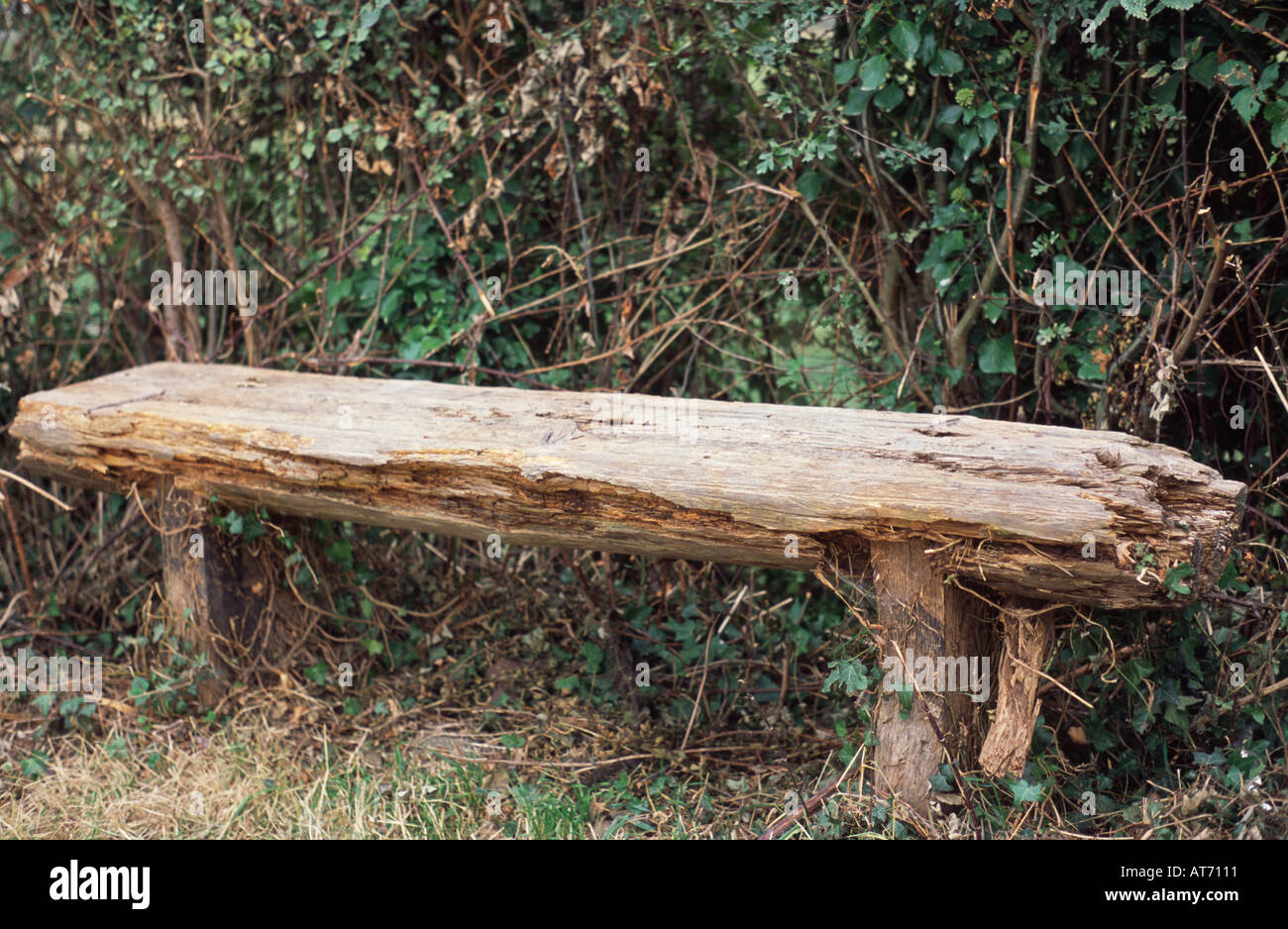 Wooden bench on the towpath of the Kennet and Avon Canal Bath Spa ...