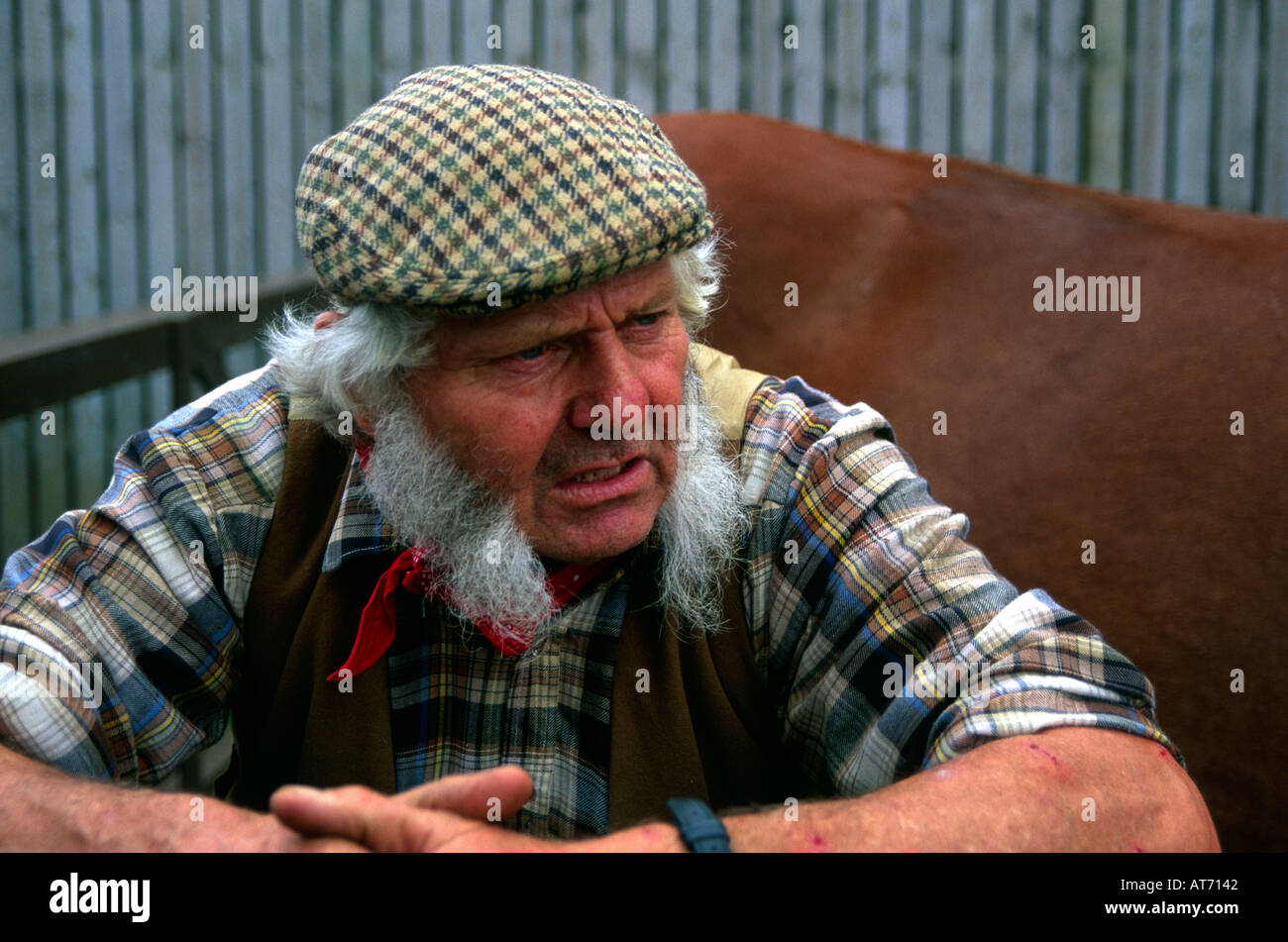 Sideburns hi-res stock photography and images - Alamy