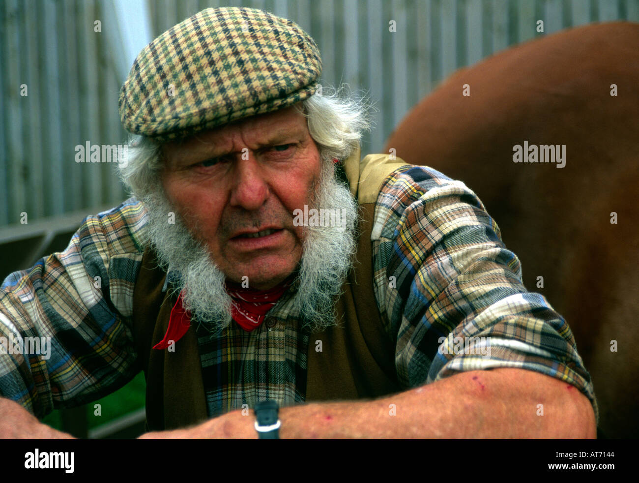 Sideburns hi-res stock photography and images - Alamy