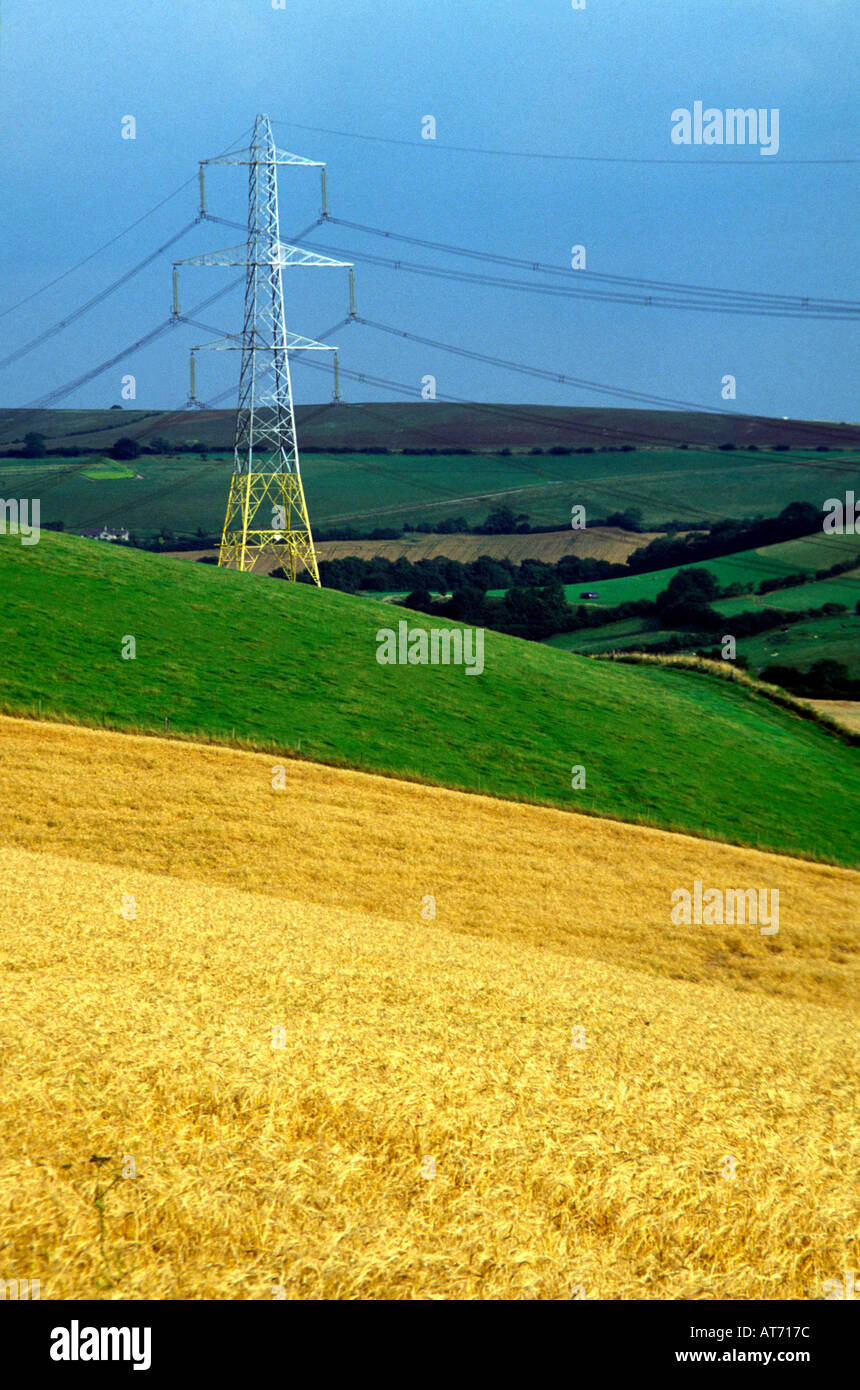 Electricity pylon near Eggardon Hill Dorset England Stock Photo - Alamy