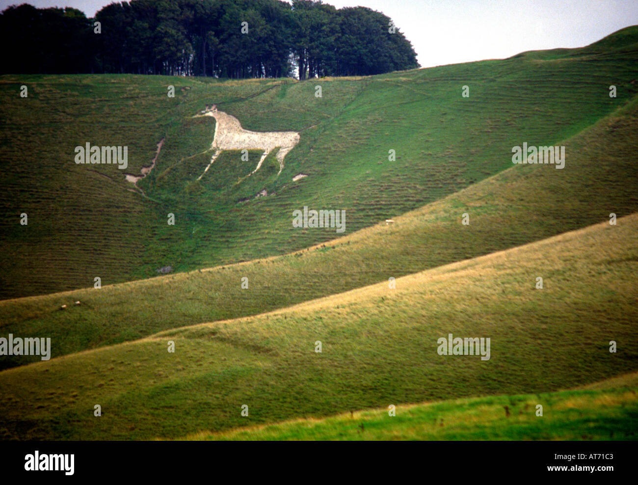 White horse wiltshire hi-res stock photography and images - Alamy