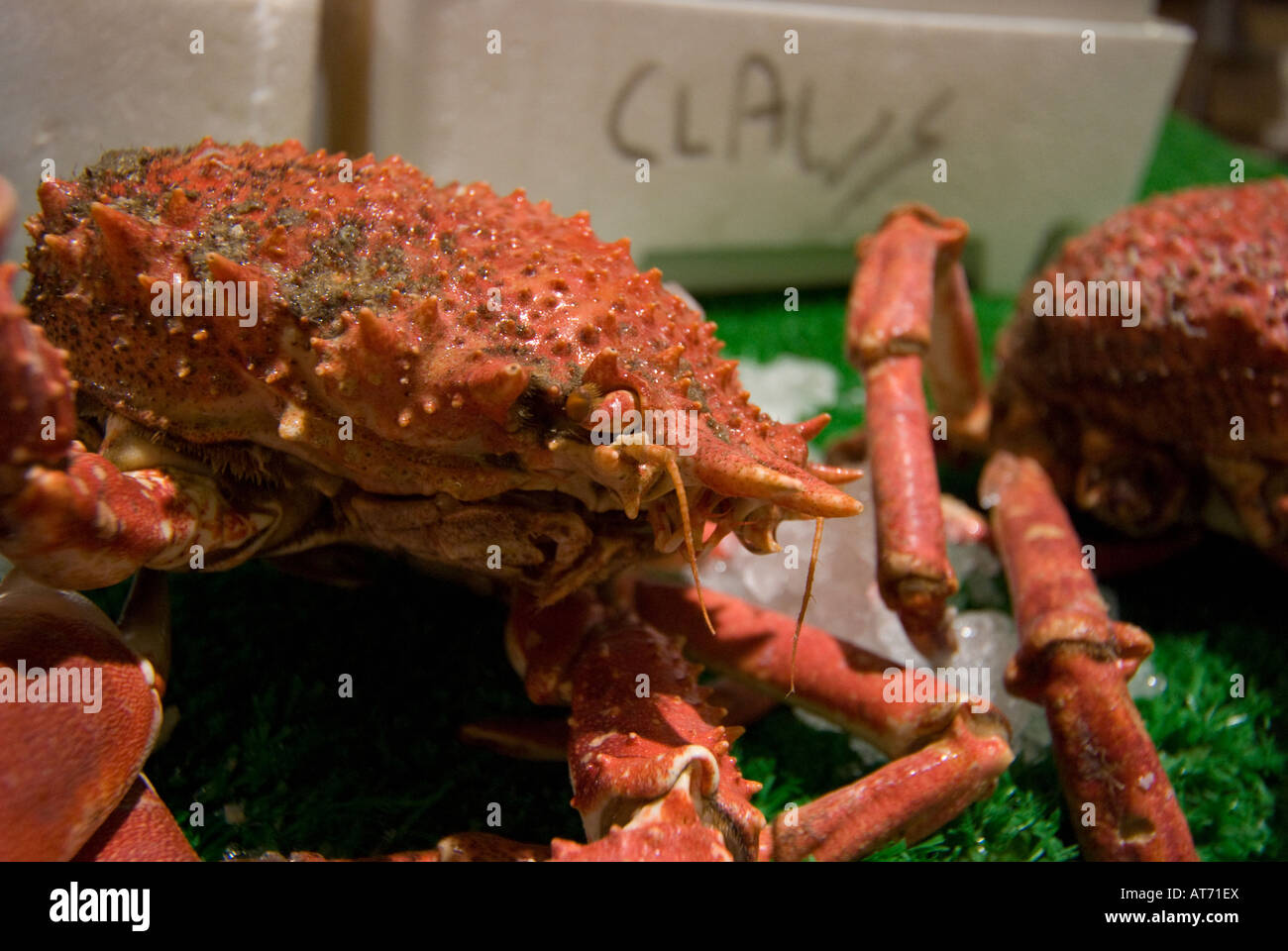 Cooked spider hi-res stock photography and images - Alamy