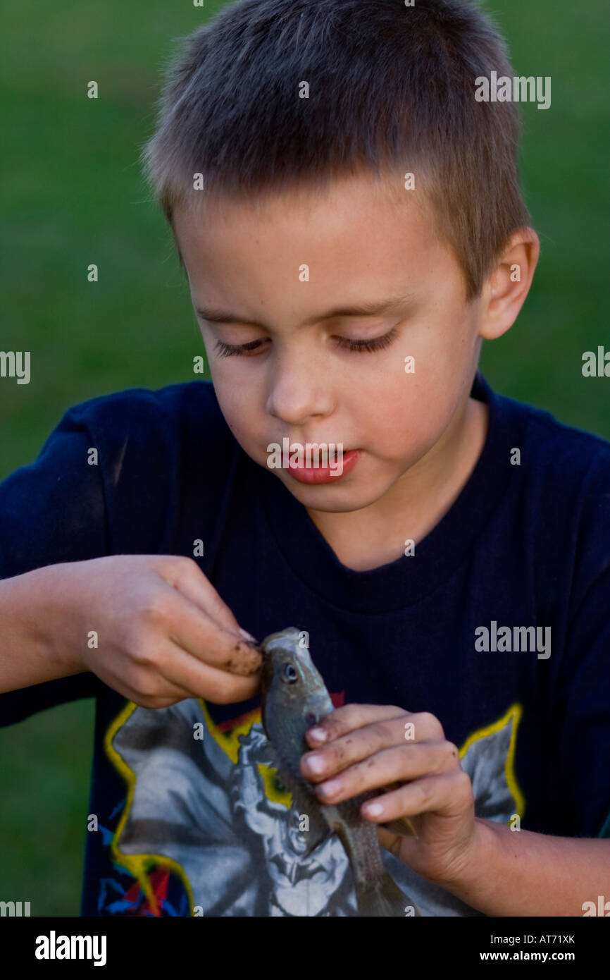 Boy taking hook out of the mouth of a perch Stock Photo - Alamy