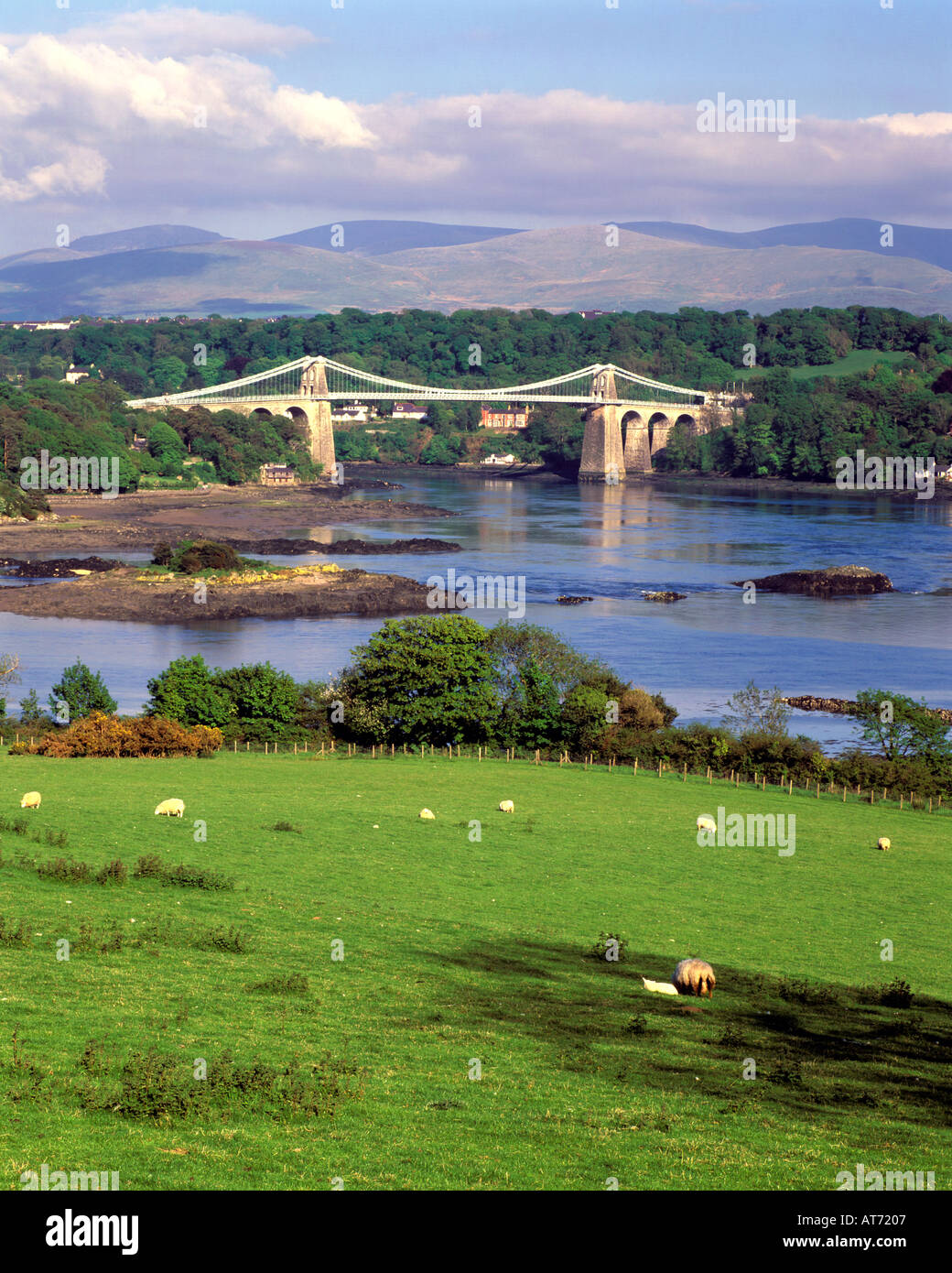 Menai bridge boat hi-res stock photography and images - Alamy