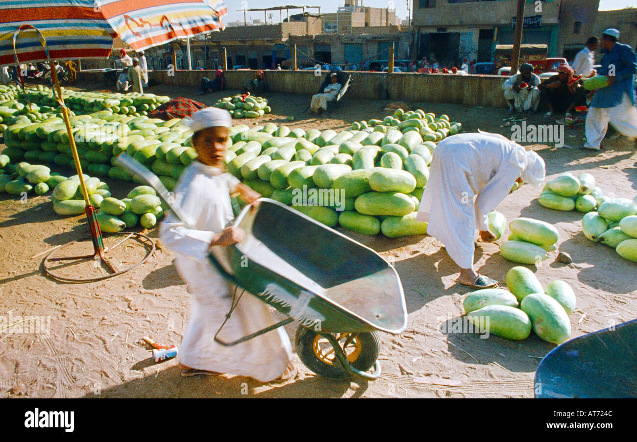 Gassim Saudi Arabia Buraidah Market Melons Boy with Wheelbarrow Stock ...
