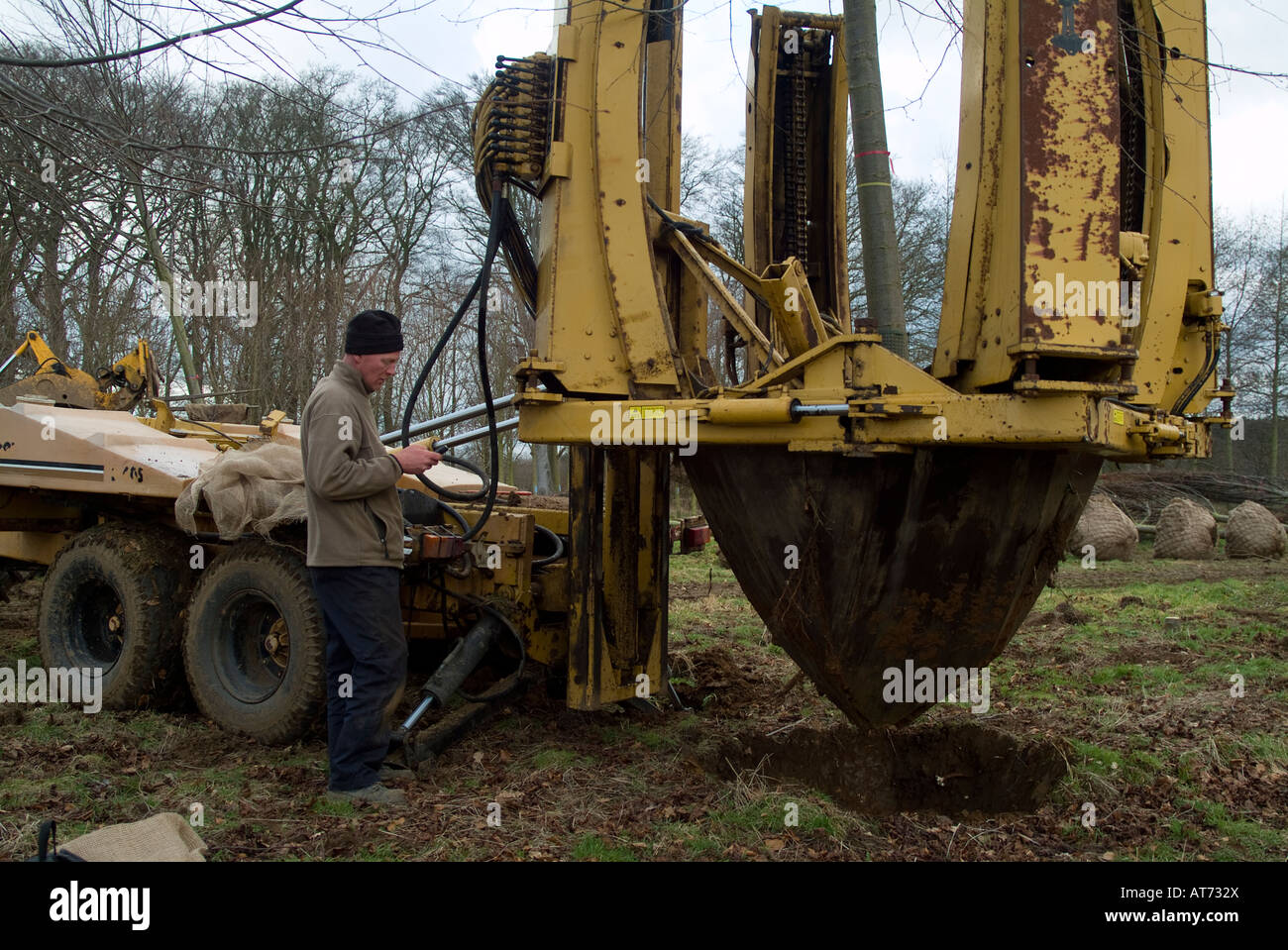 Rootball tree transplant hi-res stock photography and images - Alamy