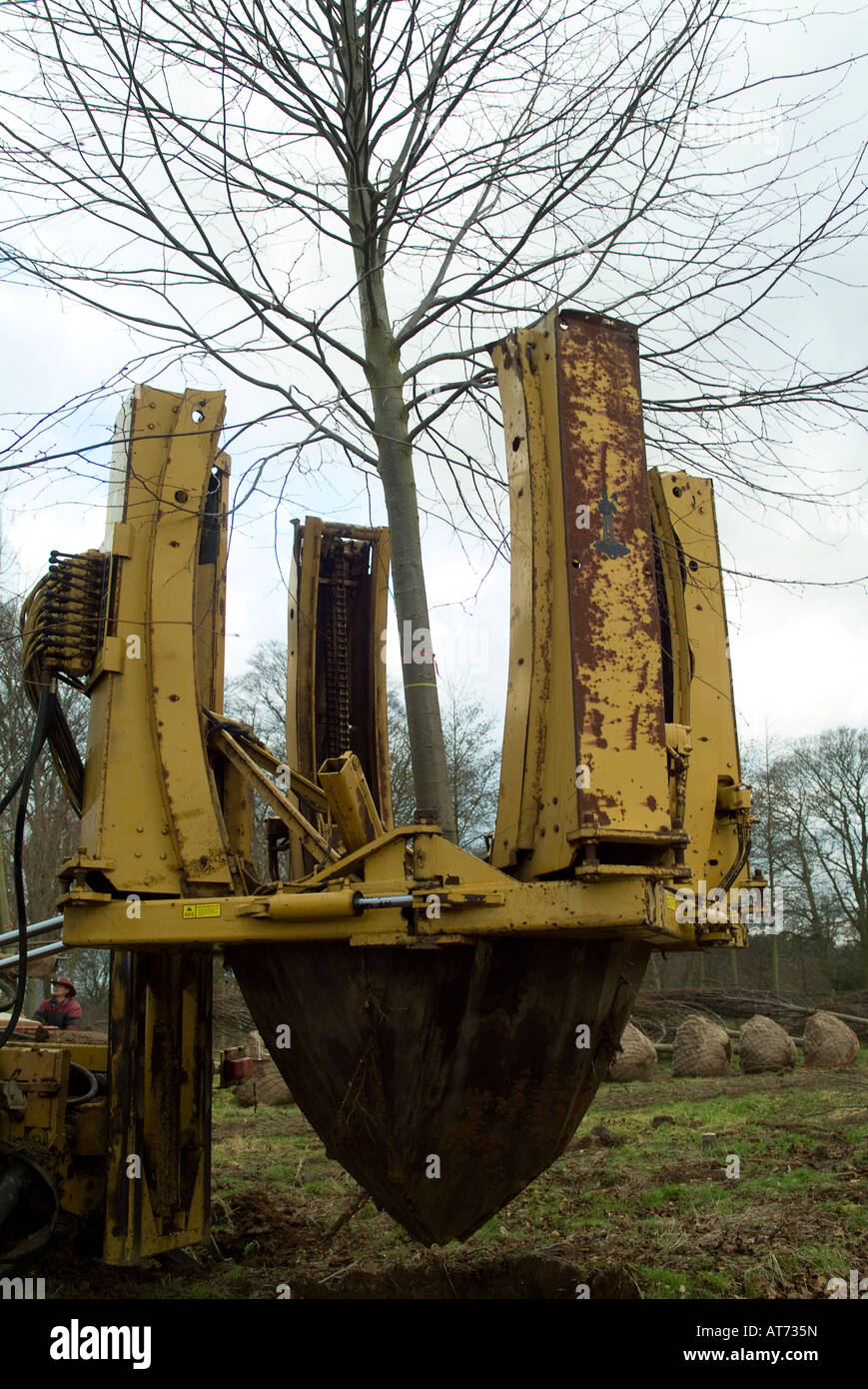 Big john tree spade lifting hi-res stock photography and images - Alamy