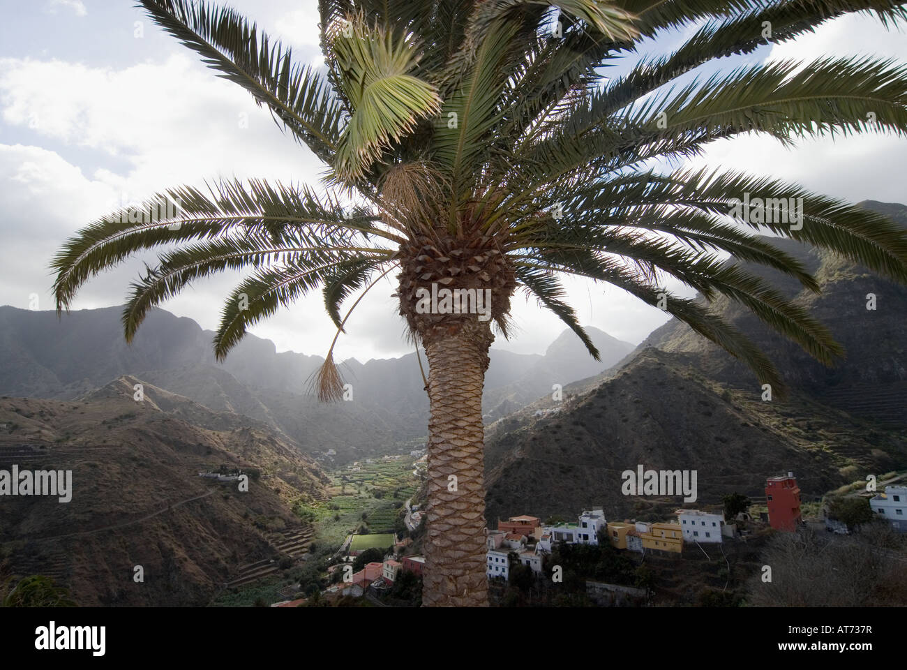Palm tree and valley of Hermigua La Gomera Stock Photo - Alamy