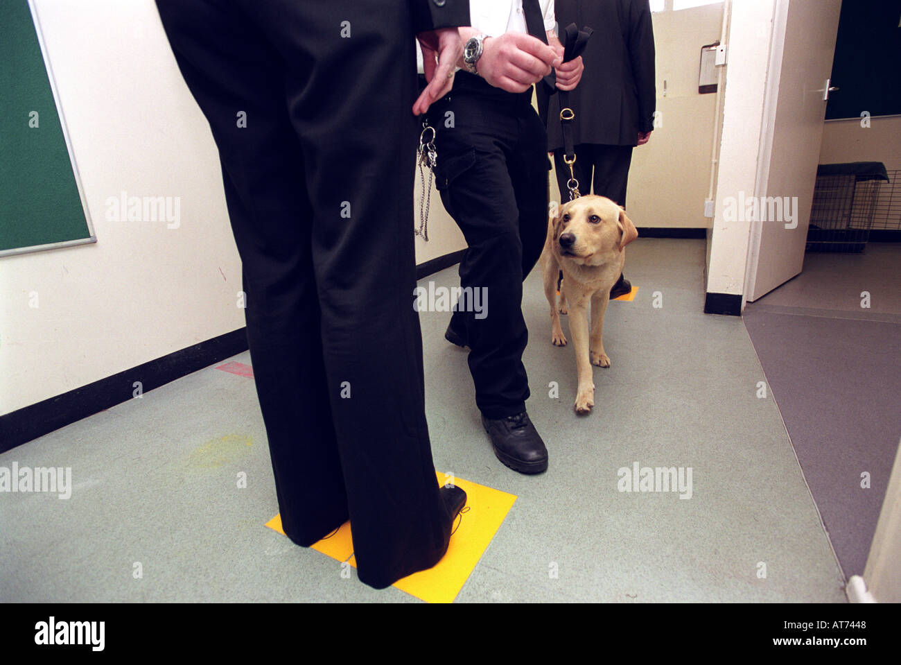British police with sniffer dogs hi-res stock photography and images ...
