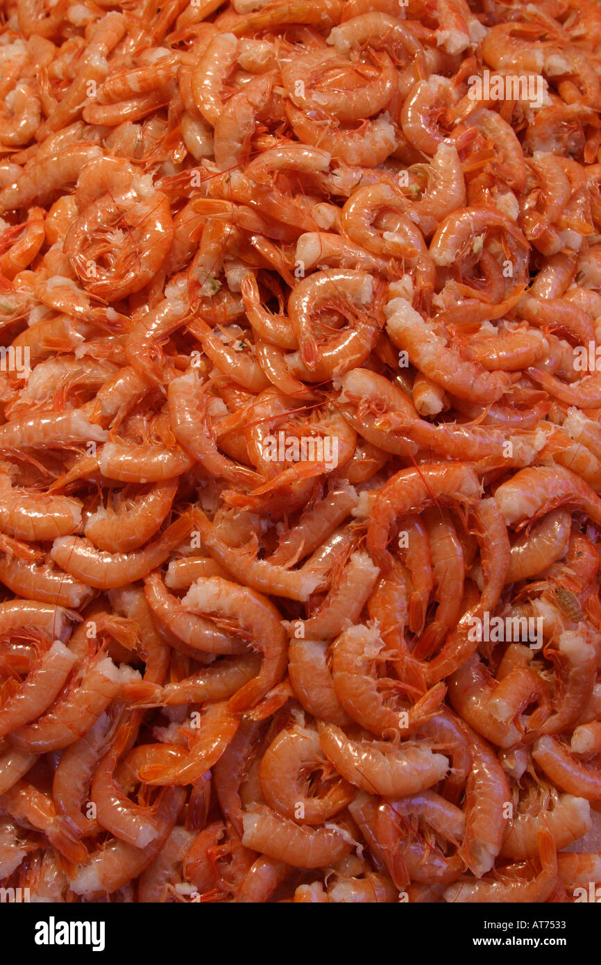 Dead prawns hi-res stock photography and images - Alamy