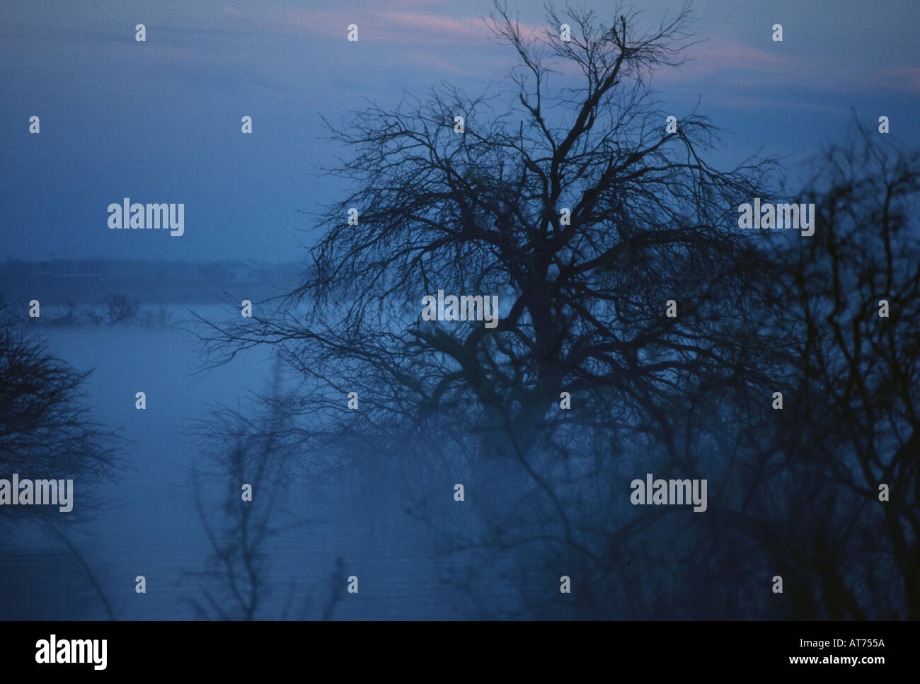 Lake Three Rivers Texas