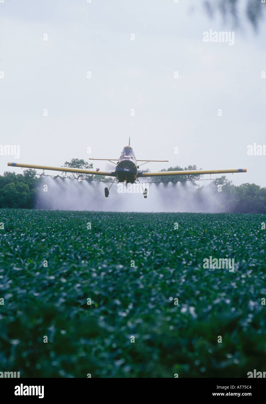 Aerial crop spraying grain crop in South Texas Stock Photo - Alamy