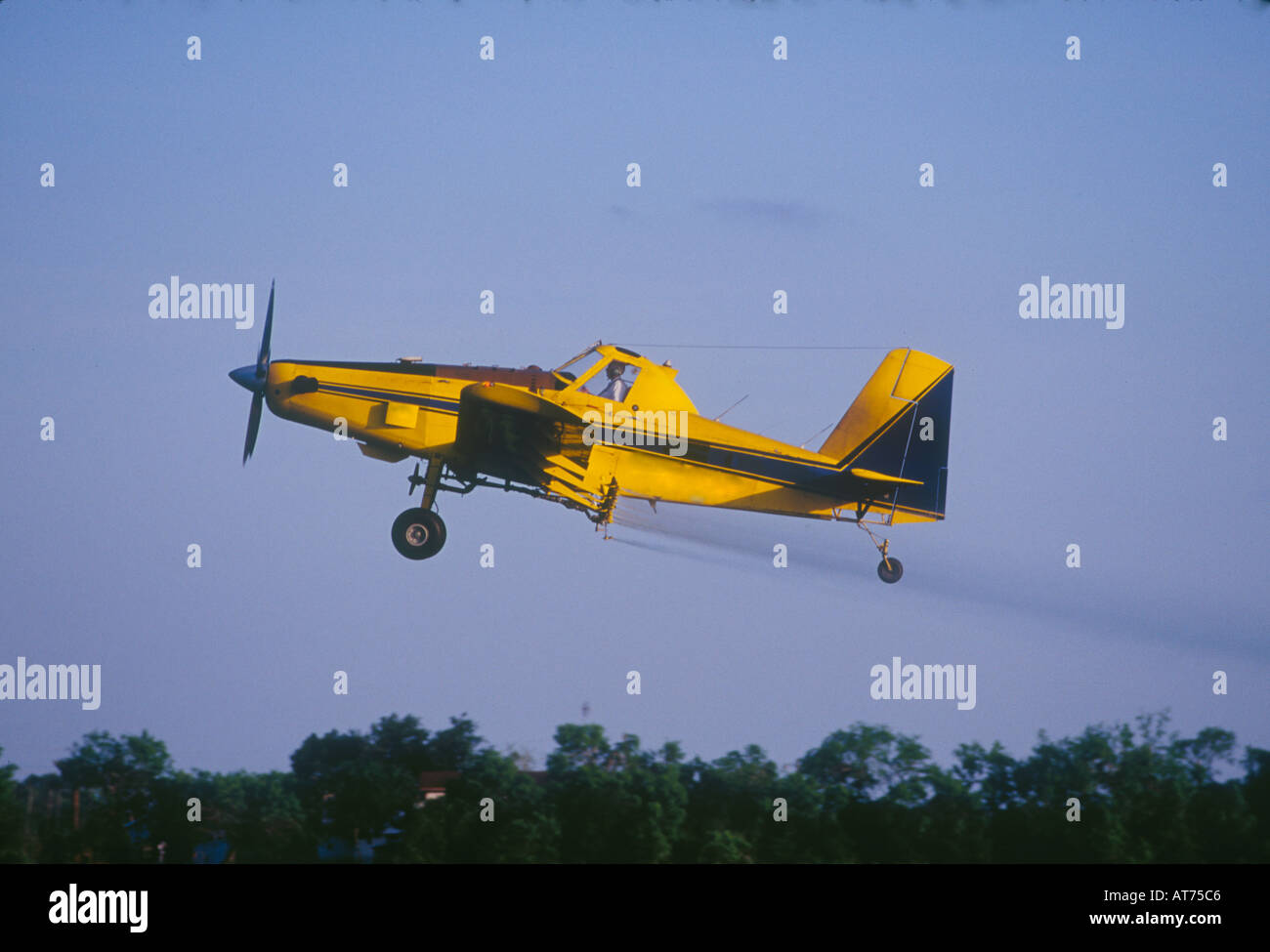 Airplane spraying insecticide on grain crop to kill harmful insects ...
