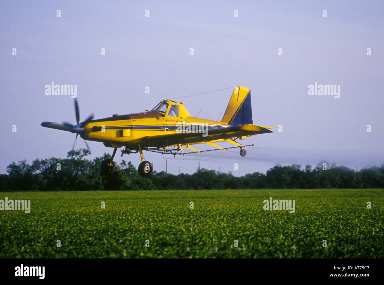 Aircraft spraying maize crop to kill harmful insects Aerial spraying is ...