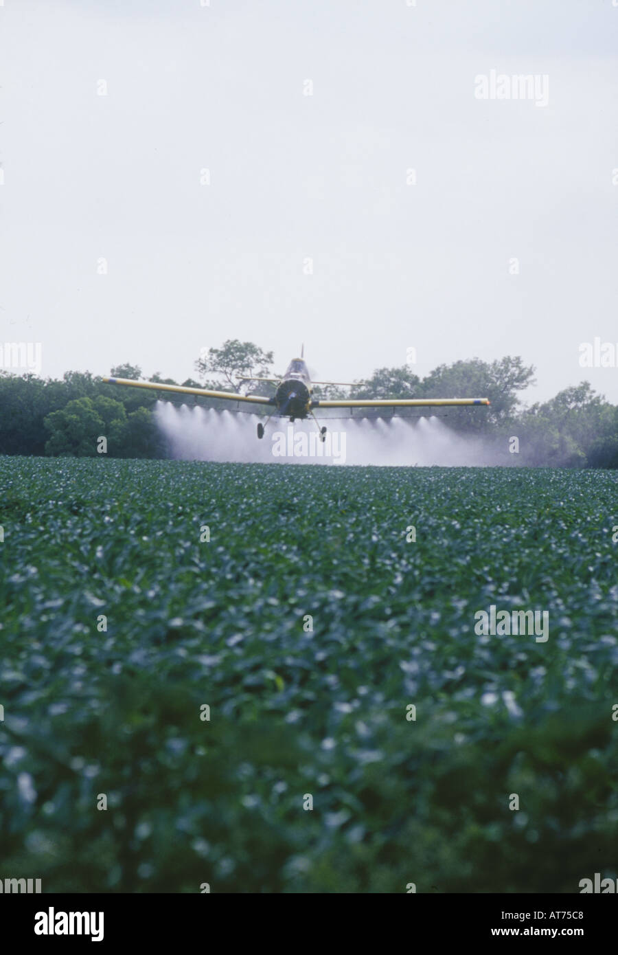 Aircraft spraying insecticide to kill harmful insects Aerial ...