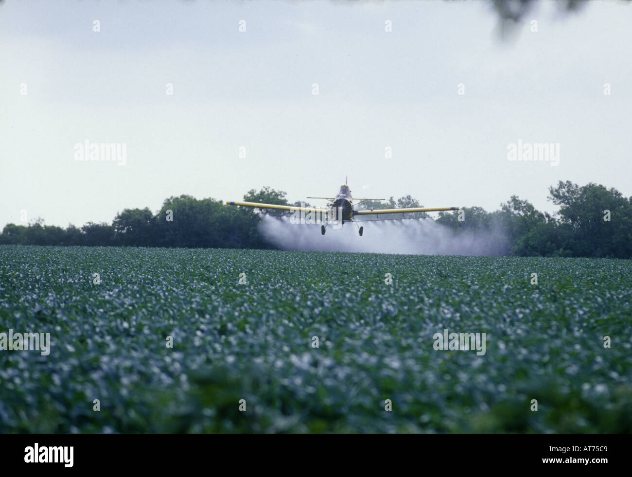 Aircraft spraying insecticide on grain crop in South Texas USA Aerial ...