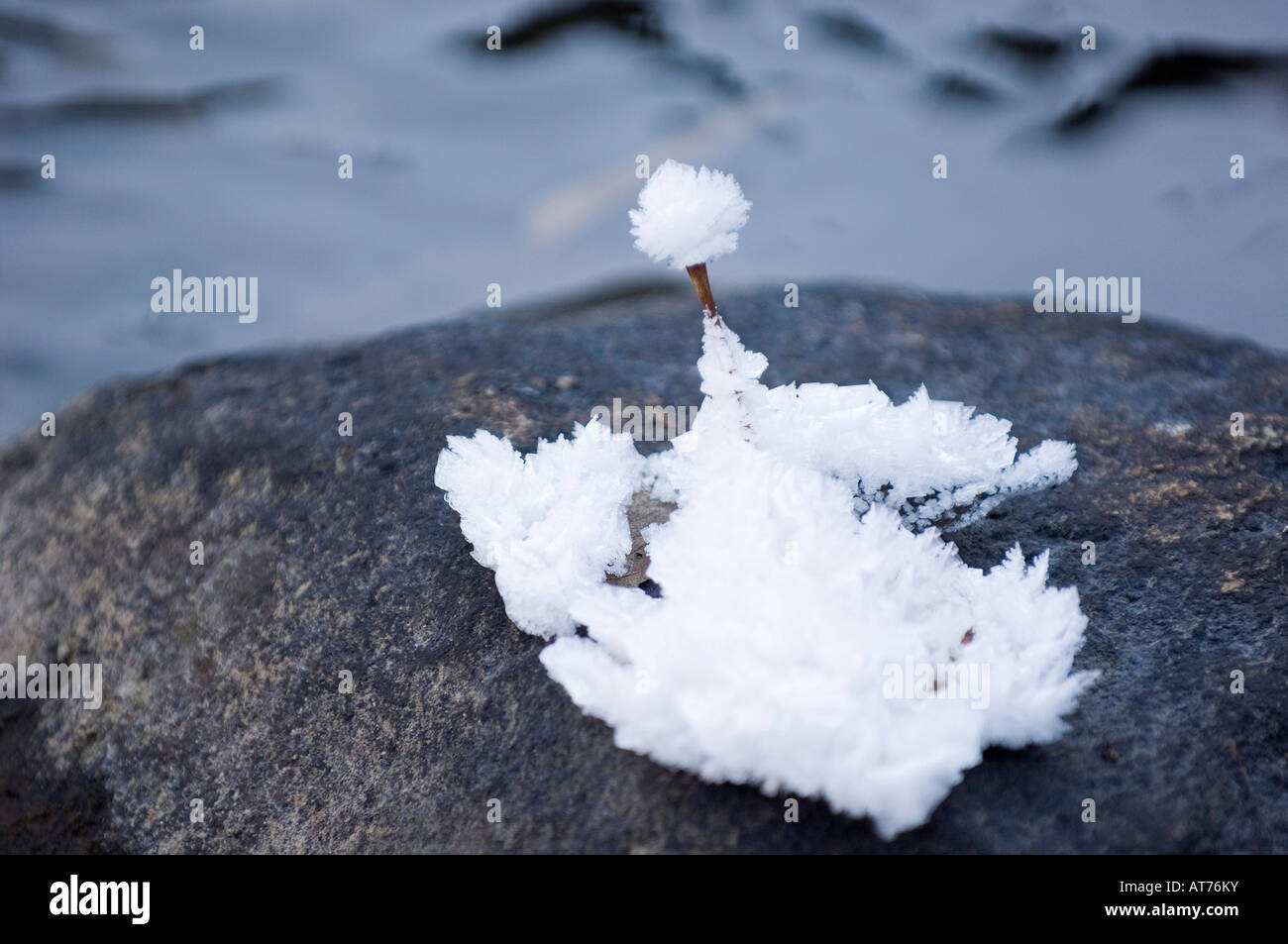 Ice crystals formed on a river rock Stock Photo - Alamy