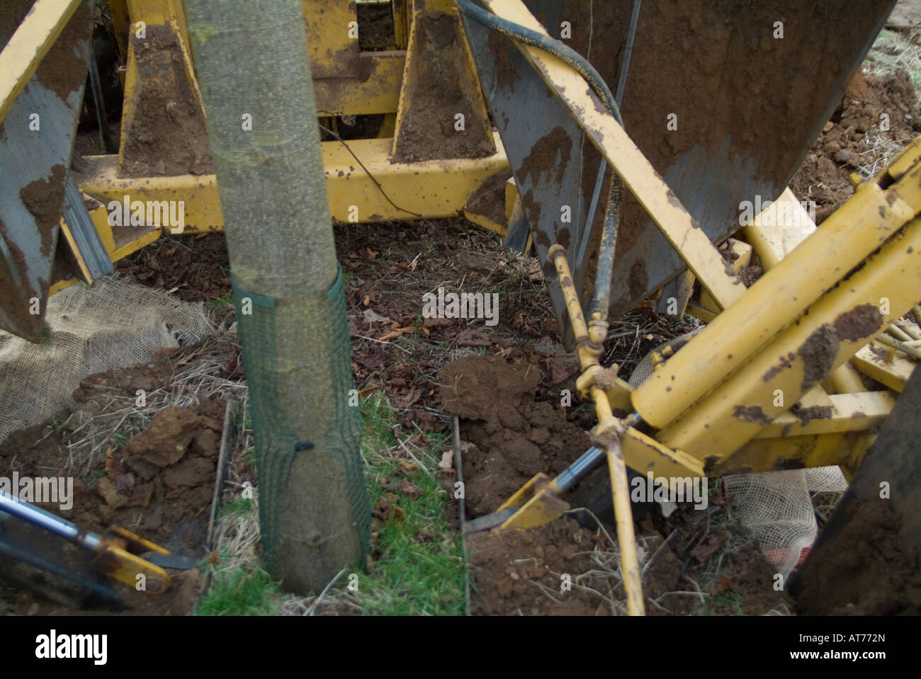 Big John root ball lifting a tree using spade lugs Stock Photo - Alamy