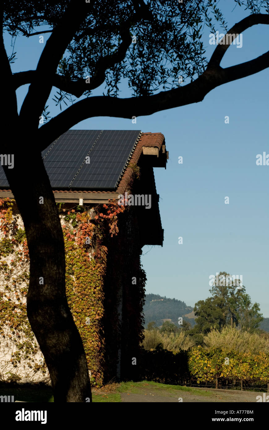 Grgich Hills Vineyards Napa Valley California Stock Photo - Alamy