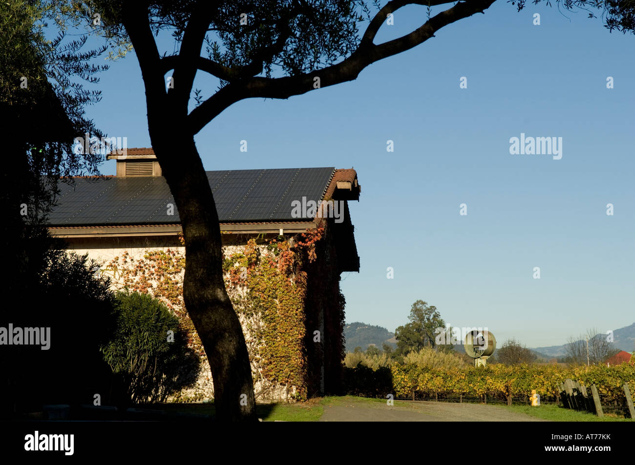 Grgich Hills Vineyards Napa Valley California Stock Photo - Alamy