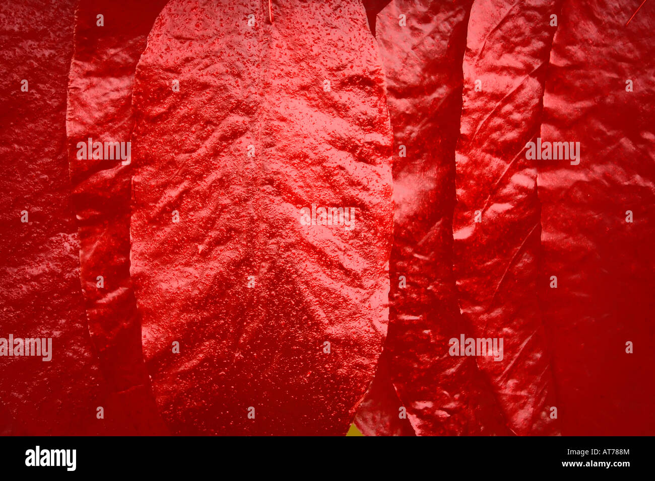 Kiping hi-res stock photography and images - Alamy