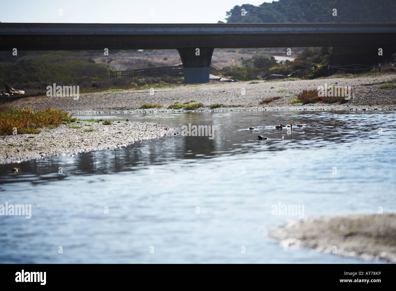 Santa Rosa River with Bridge San Simeon State Park on the Pacific Coast ...
