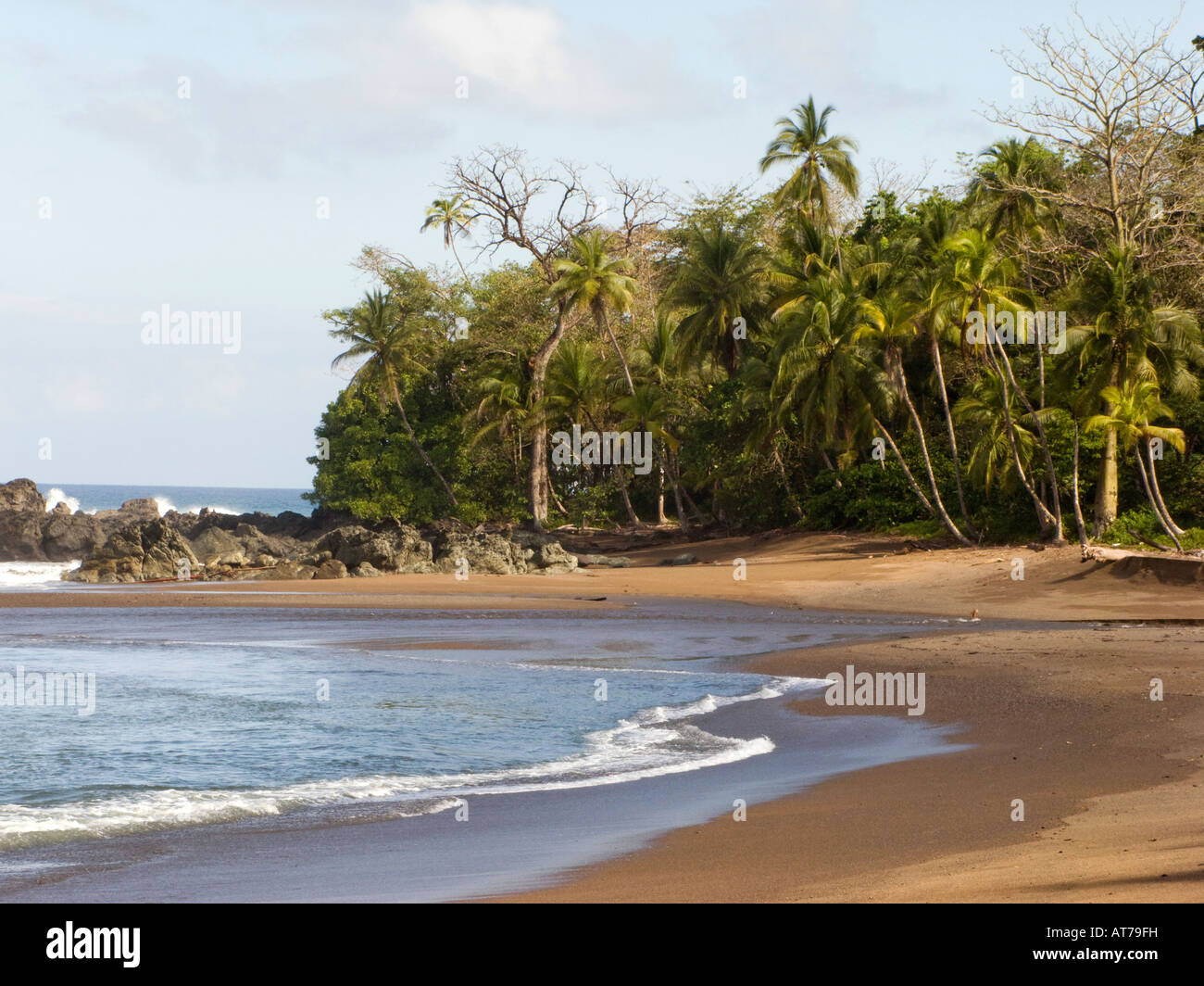 Costa Rica Osa Peninsula mouth of Rio Clara River Stock Photo - Alamy