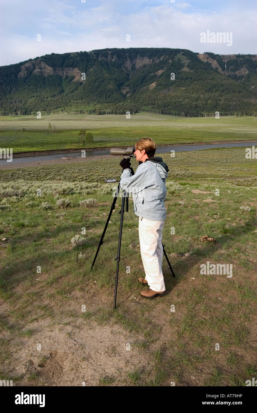 Wolf biologist Shauna Baron uses a telescope to spot wolves in the ...