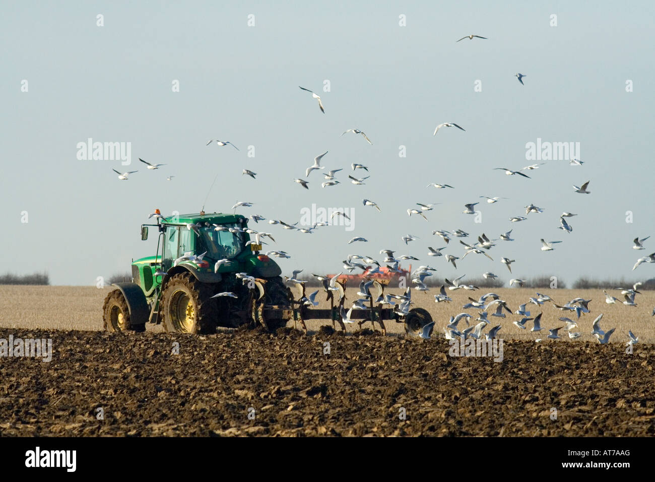 Roots showing through soil hi-res stock photography and images - Alamy