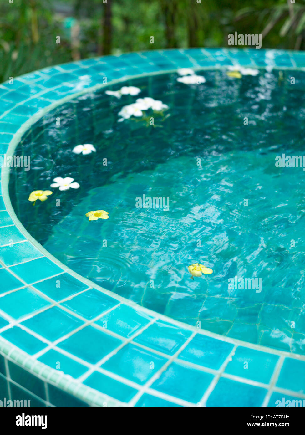 Flowers floating in jacuzzi Stock Photo - Alamy