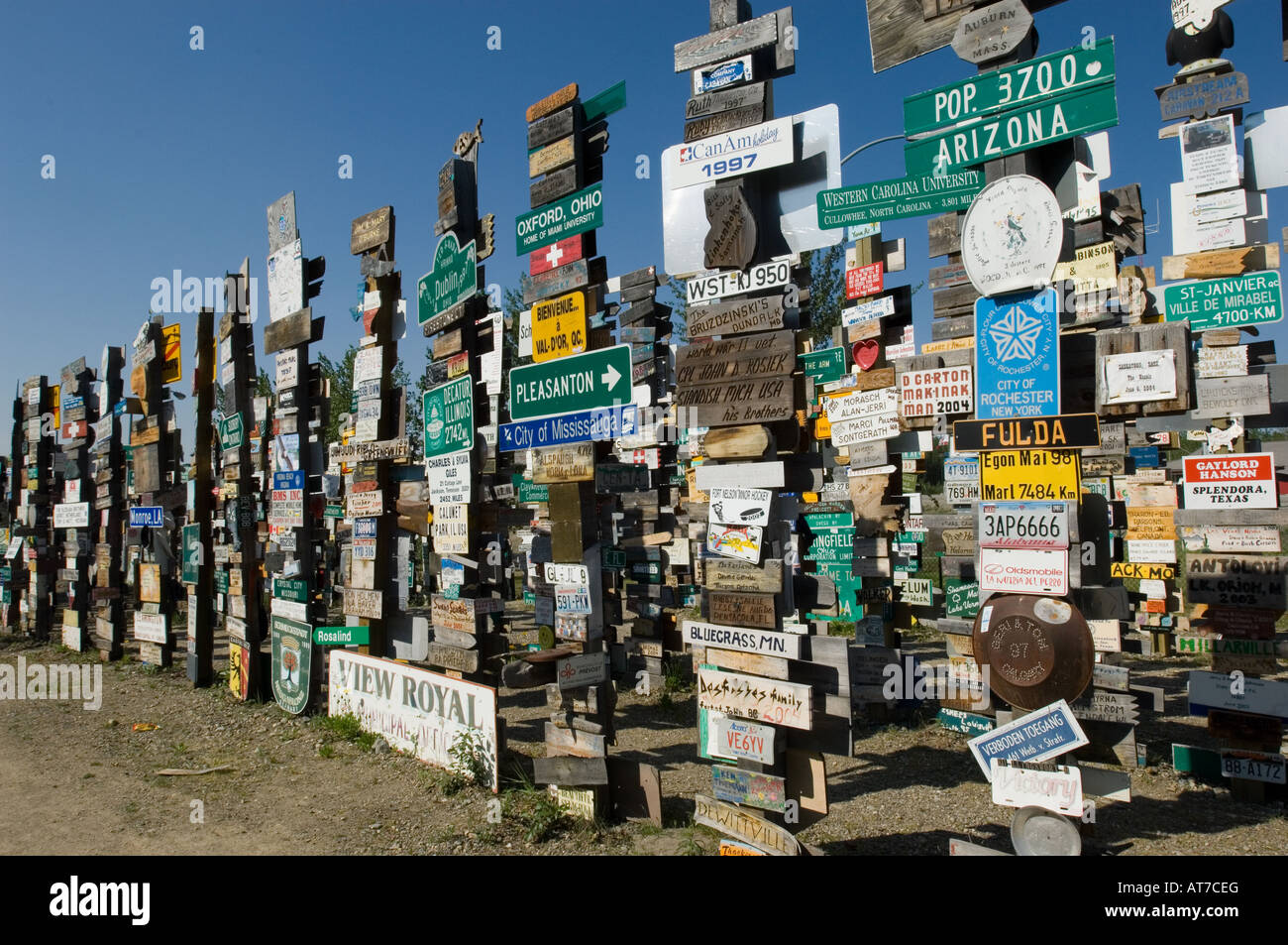 License plate forest hi-res stock photography and images - Alamy