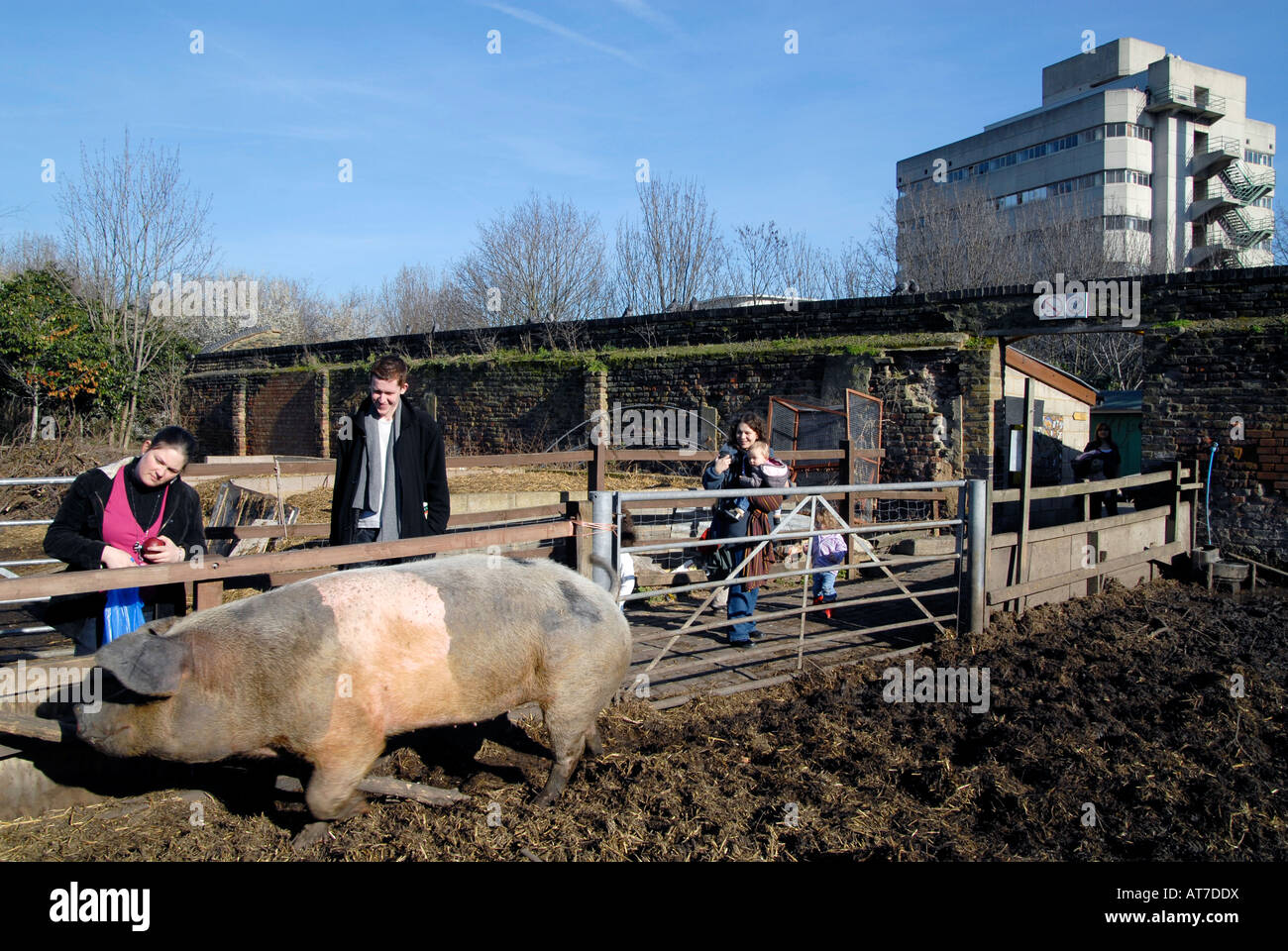 UK Families visiting the Hackney City Farm in east London Stock Photo ...