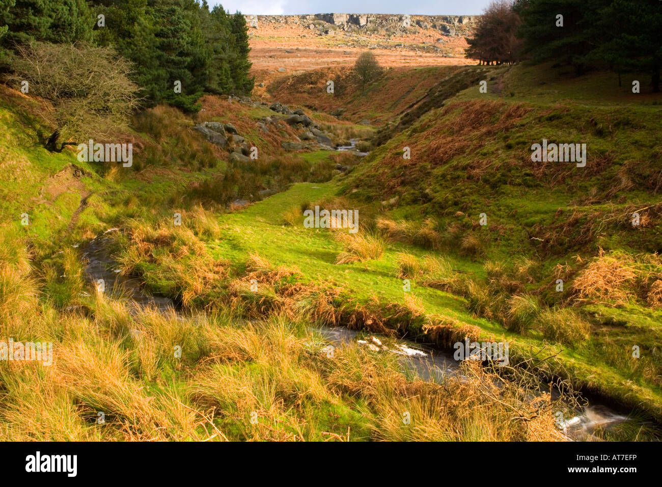 View of Burbage Brook below Burbage Rocks on Hathersage Moor in the ...