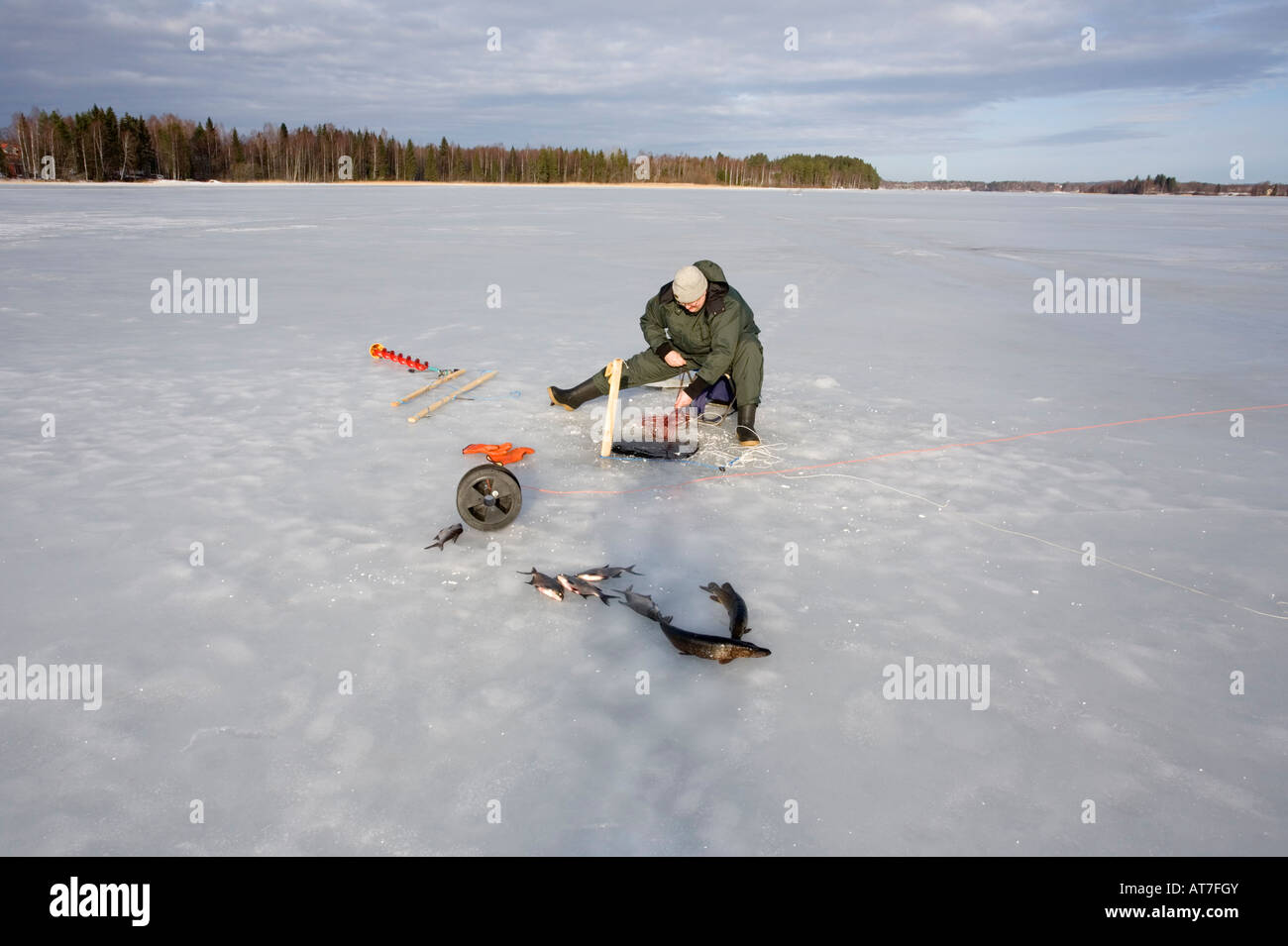 Fisherman checking the fishing nets at Winter on lake ice Finland ...