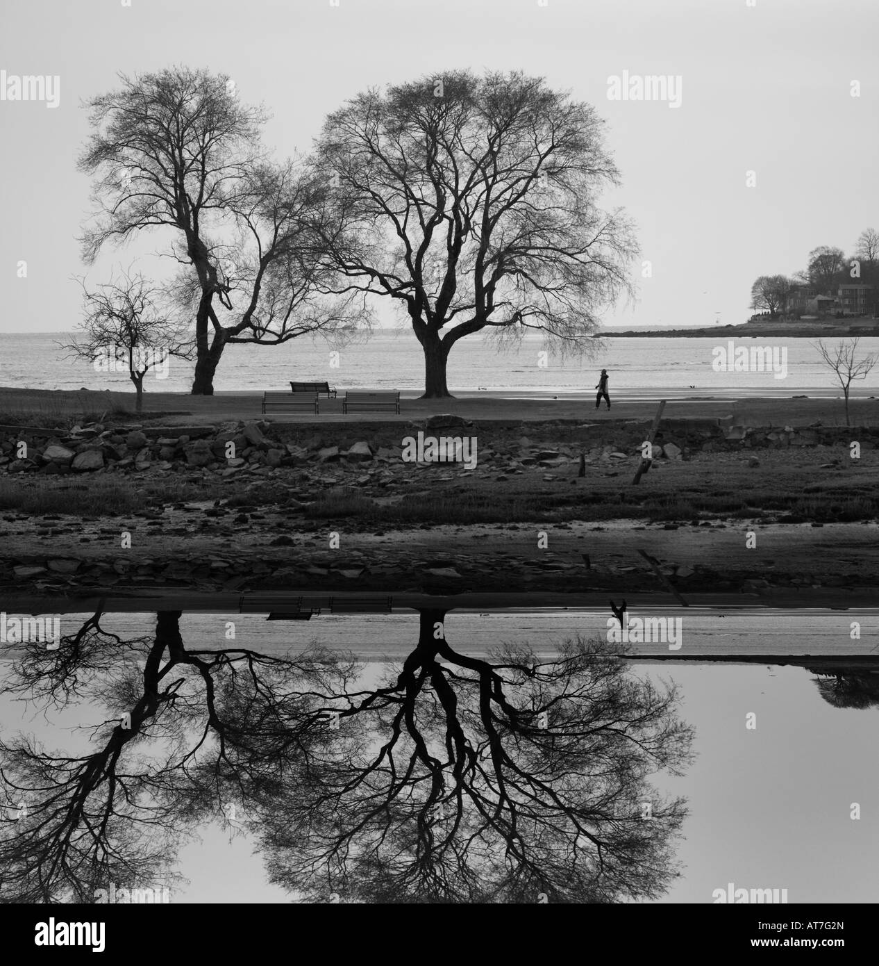 Trees reflected perfectly in water with a small figure in Silhouette in ...