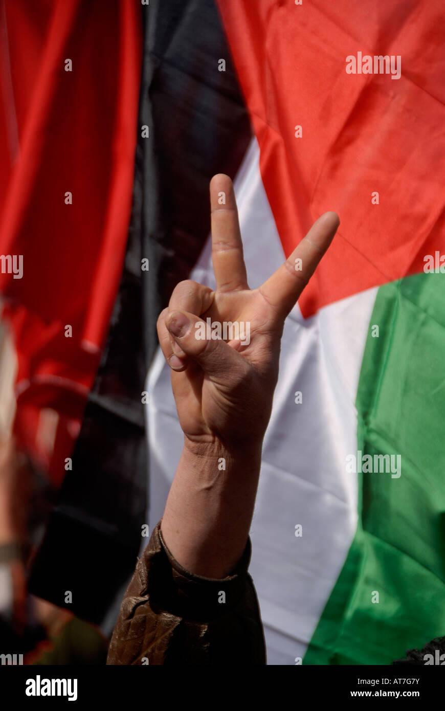 Palestinian man flag hi-res stock photography and images - Alamy