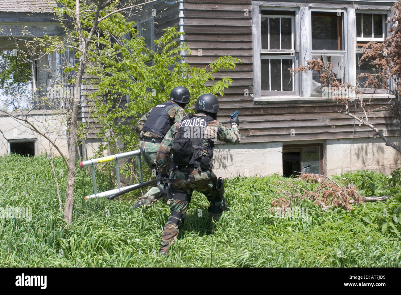 SWAT team members running towards house to break window and deploy a ...
