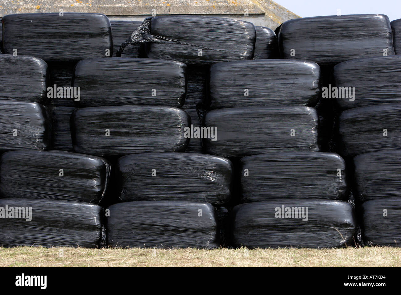 Bales shrink wrapped in black polythene Stock Photo - Alamy