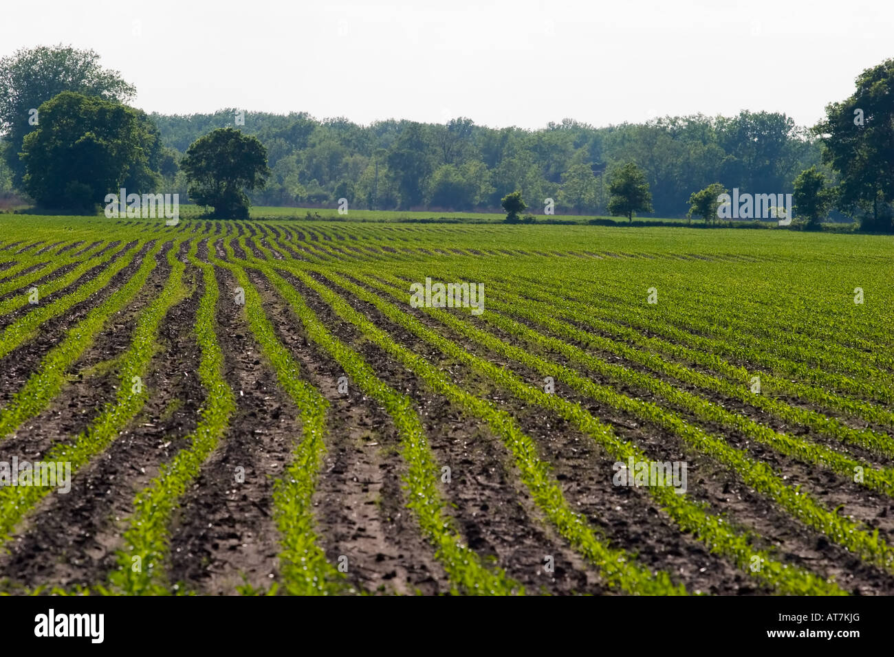 Central indiana crop hi-res stock photography and images - Alamy