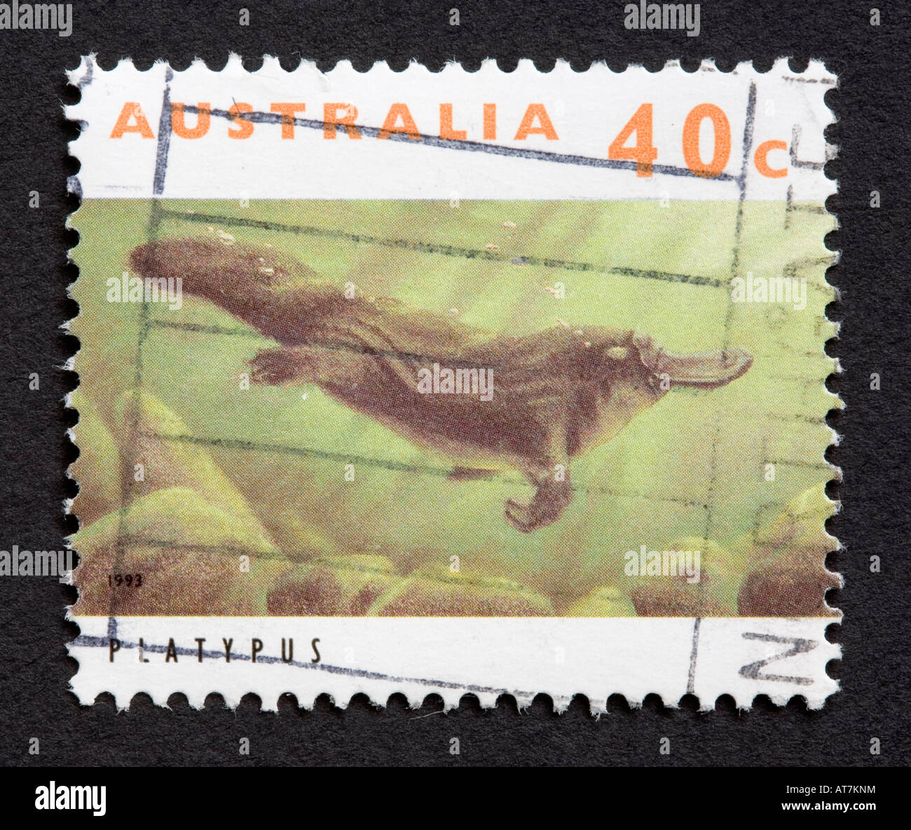 Platypus australia postage stamp hi-res stock photography and images ...
